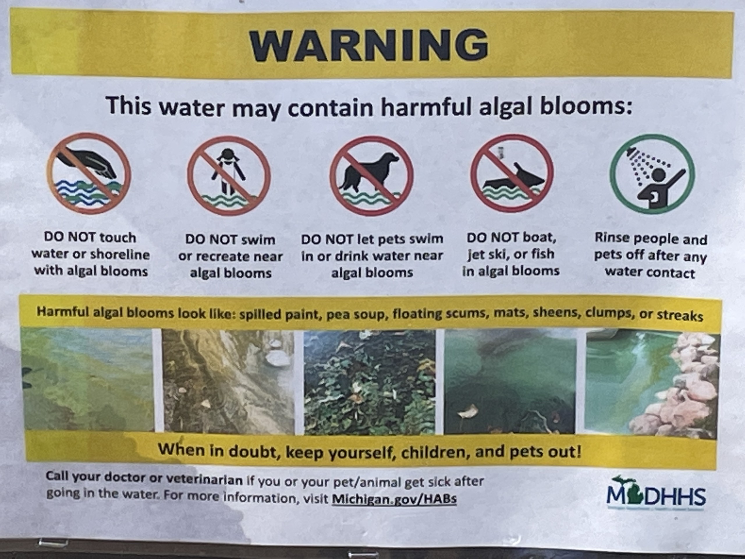 Harmful Algal Blooms Found at North Bar Beach – 910News.com