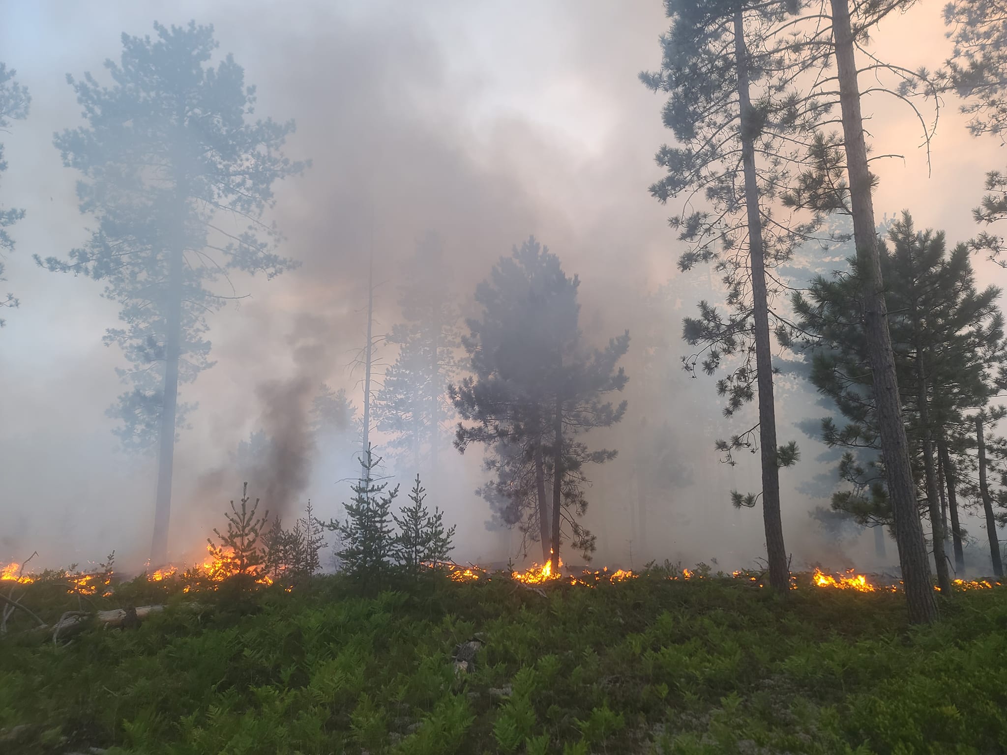 Crews battle Goose Marsh wildfire in Whitefish Twp. in the Upper ...