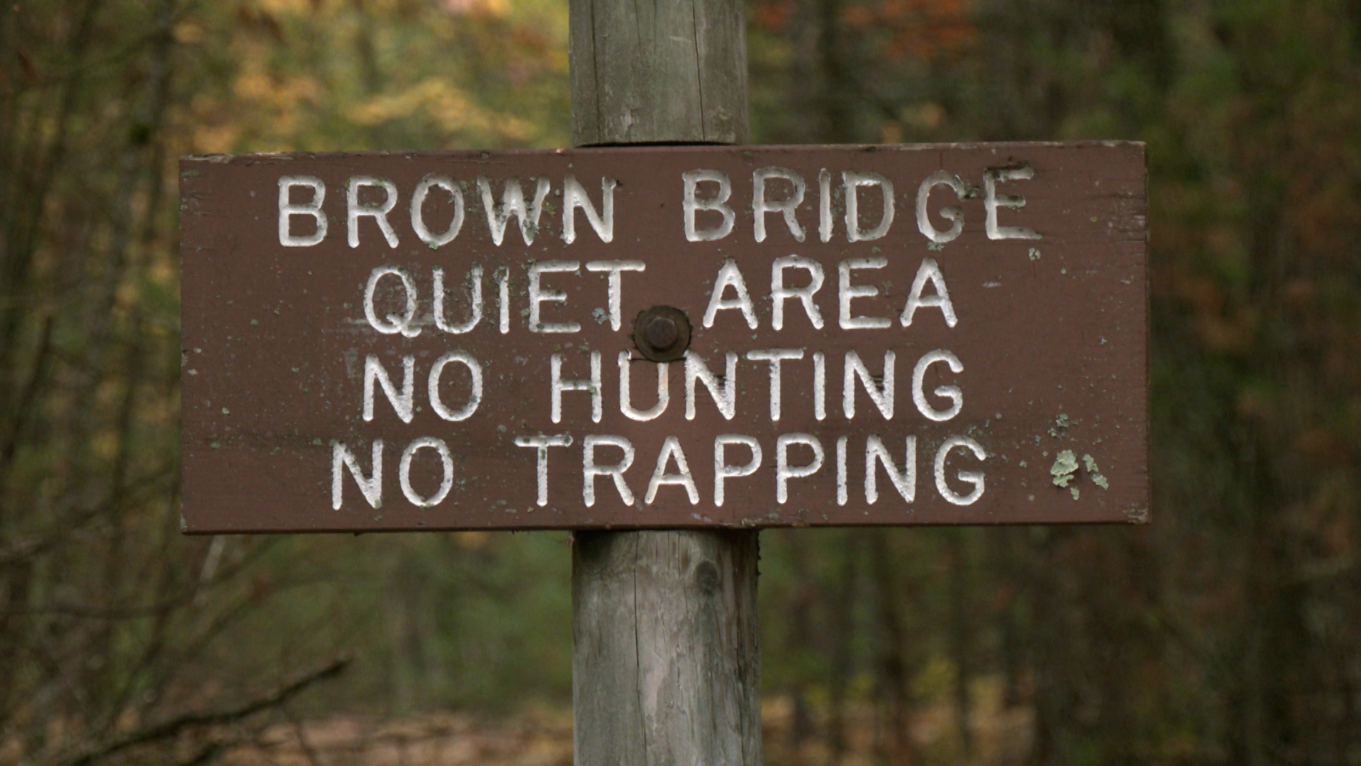 Traverse City voters to decide on 528-acre expansion to the Brown ...