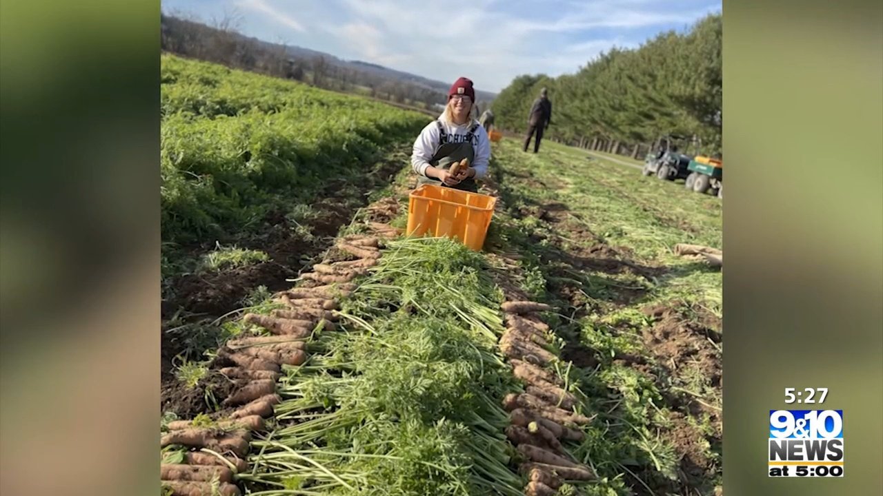 Growing, Eating and Educating with NanBop Farm: Fall on the Farm ...