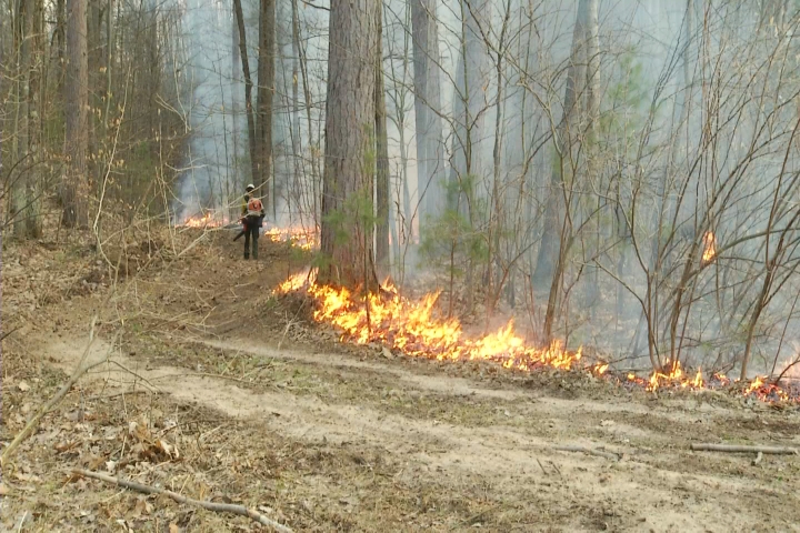 DNR: Wildfire Danger is High in Northern Michigan – 9&10 News