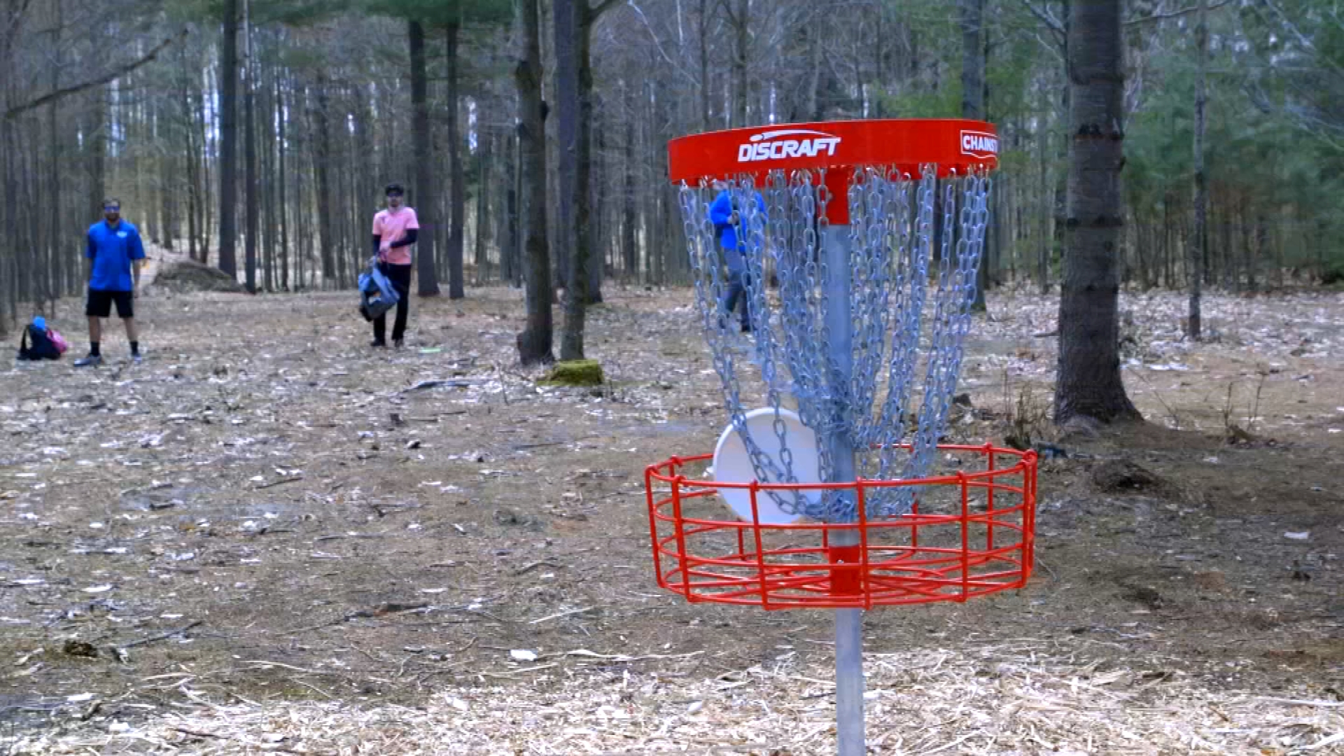 Discraft Disc Golf Wallpaper