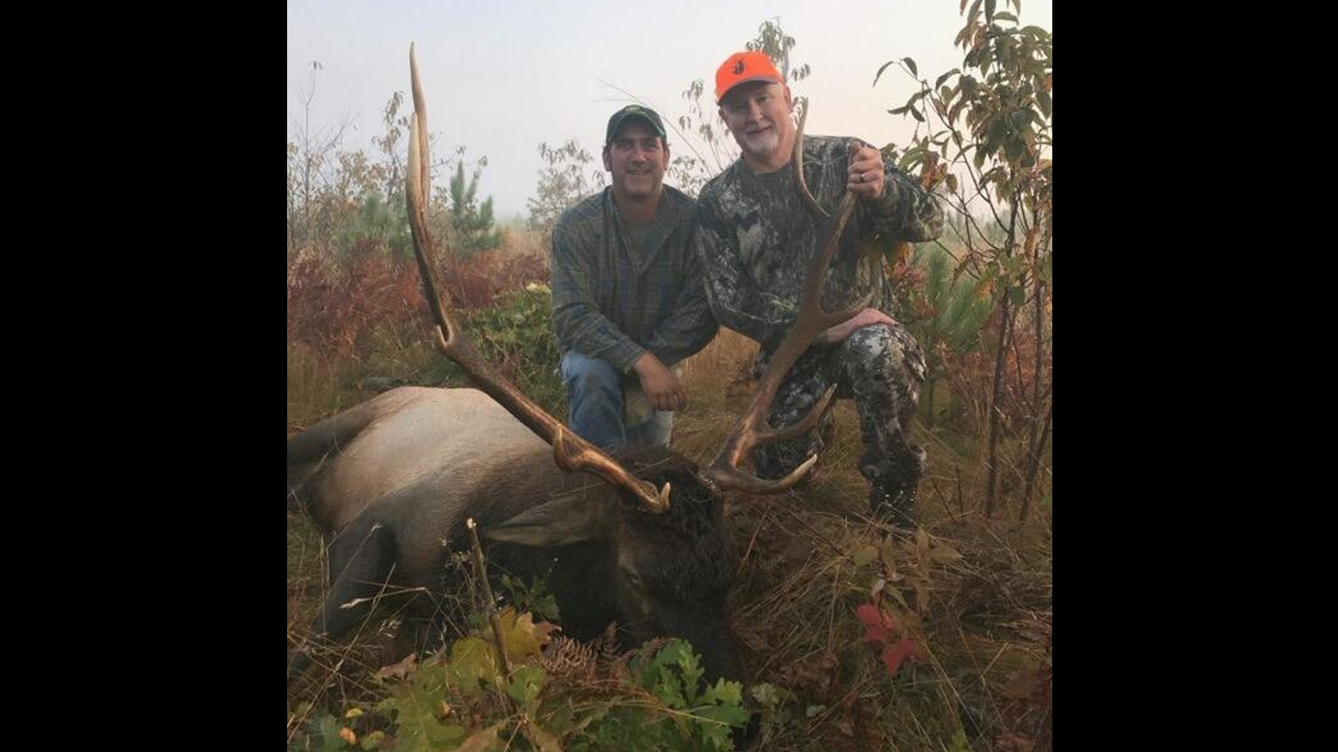 Pure Michigan Hunt Winners Bag Elk, Black Bear – 9&10 News