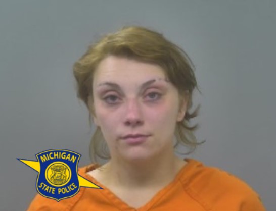 State police say Alpena woman arrested downstate after stealing truck ...