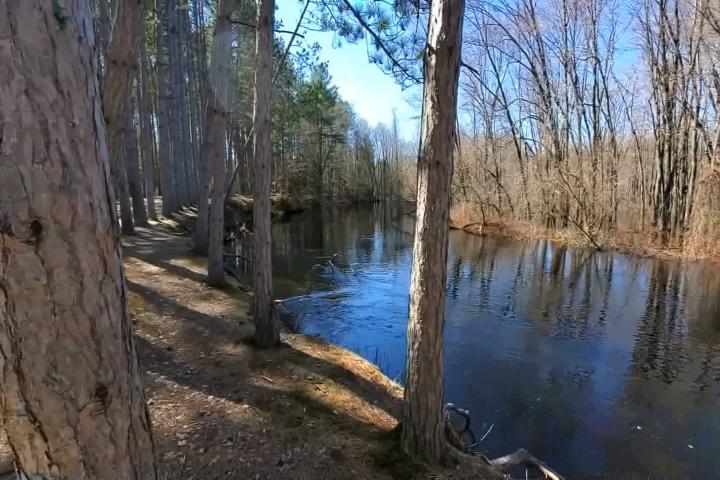 Sights and Sounds: Hike Along the River in Missaukee County ...