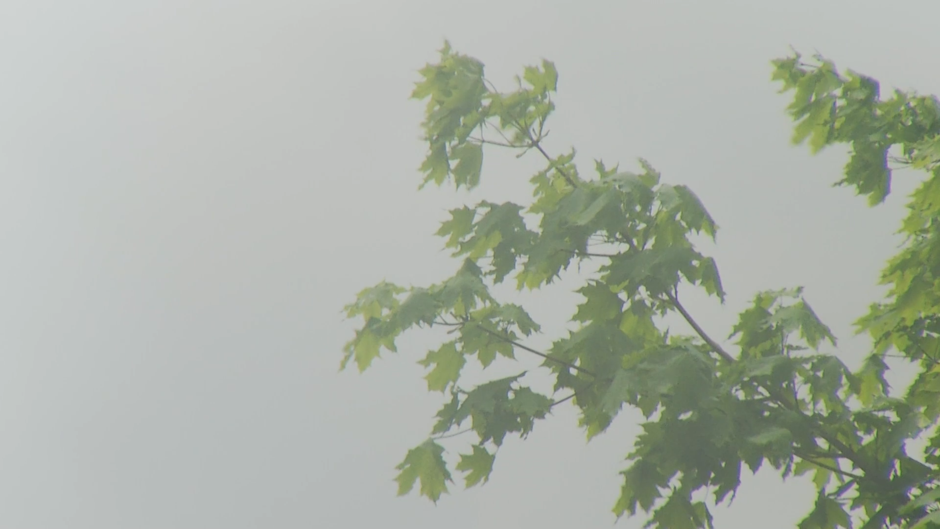 Sights and Sounds: Taking In the Scenery at Gaylord’s Doumas Park – 9 ...