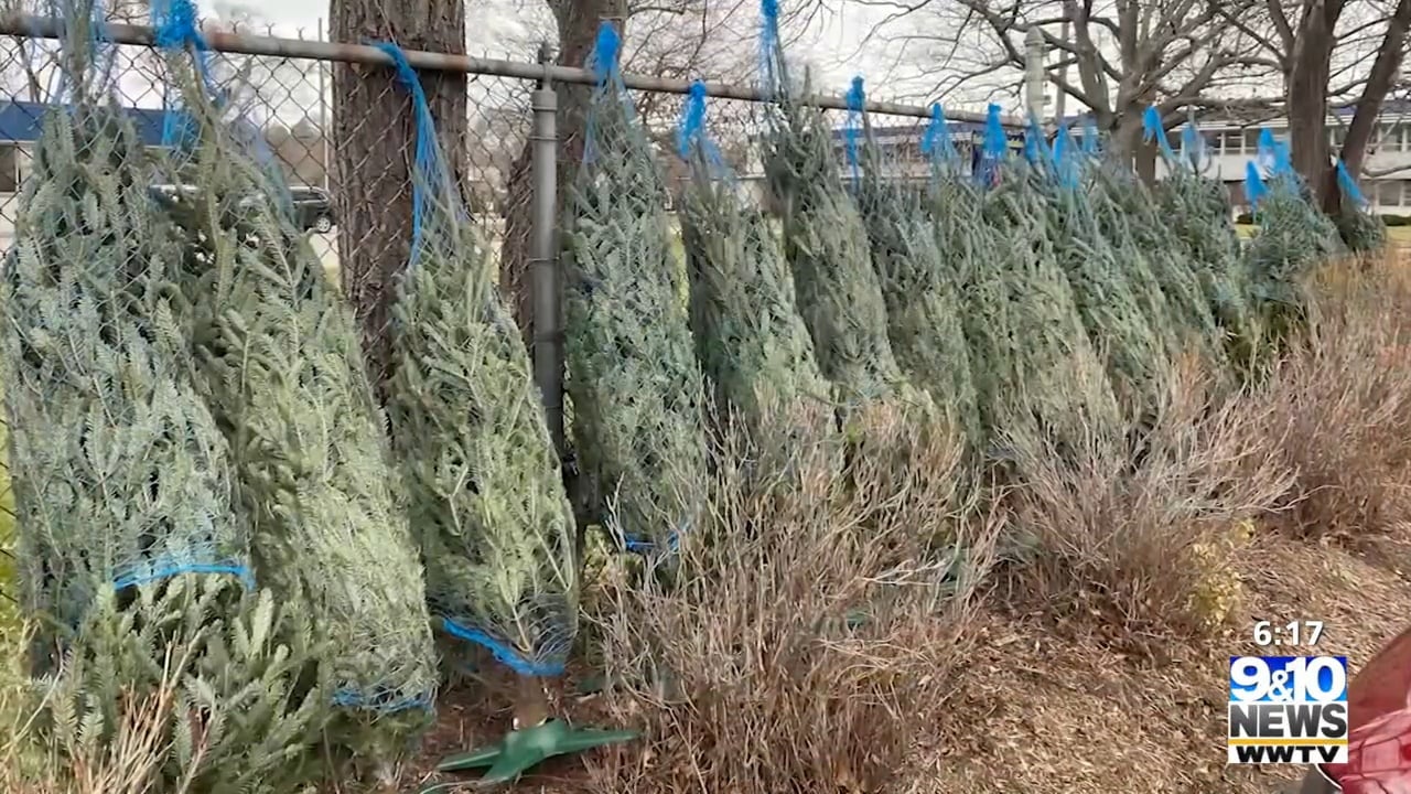 Father Fred Foundation Hands Out 100 Christmas Trees to Families in ...