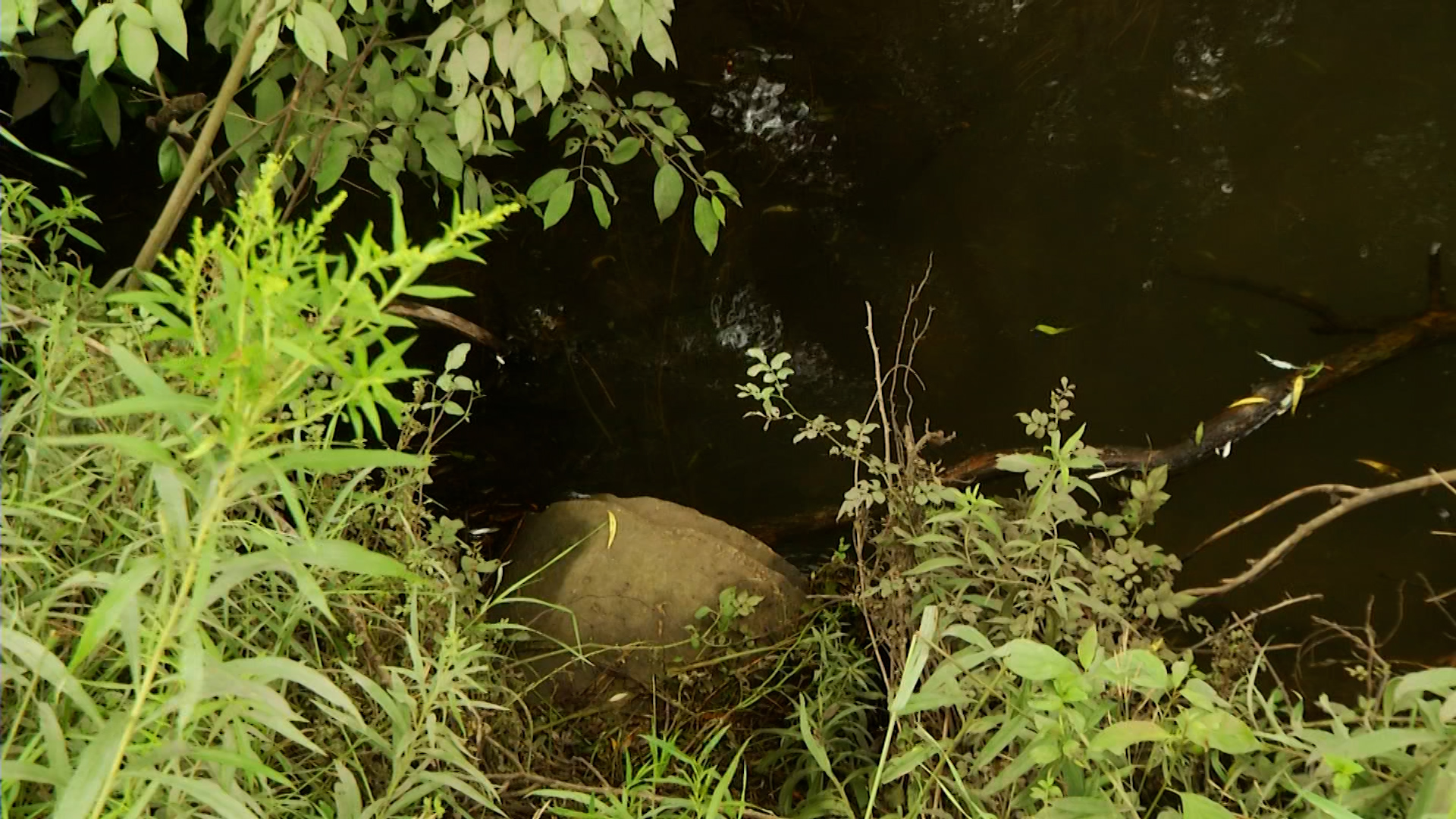 Acme Township Resident “Trapped” in his House, Blames Bad Culvert – 9 ...