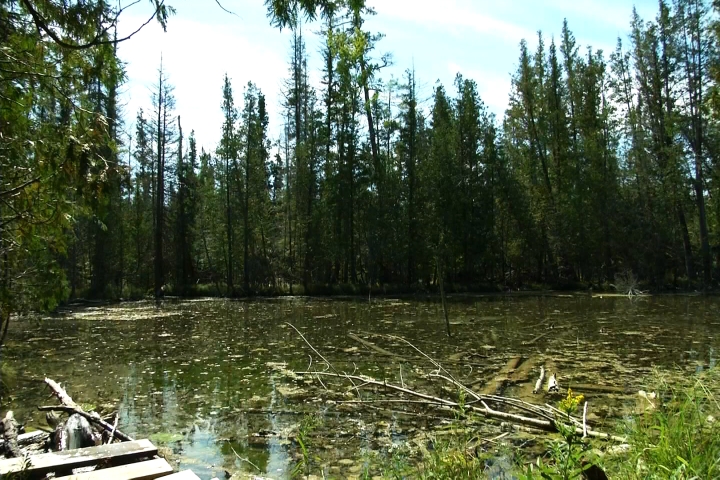 Sights and Sounds: Emmet County Spring – 9&10 News