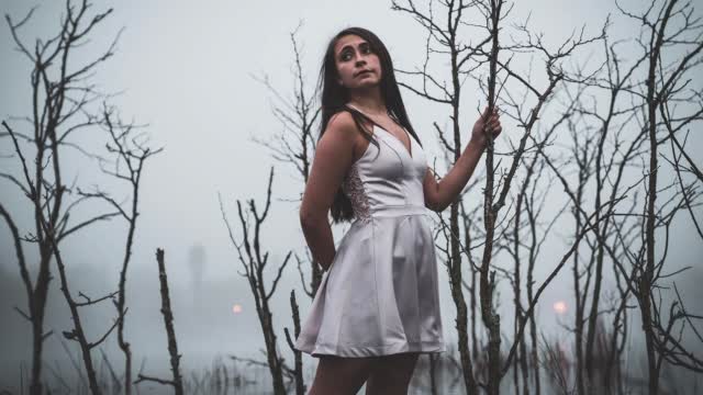 Artist Profile: Broadbent Photography – 9&10 News