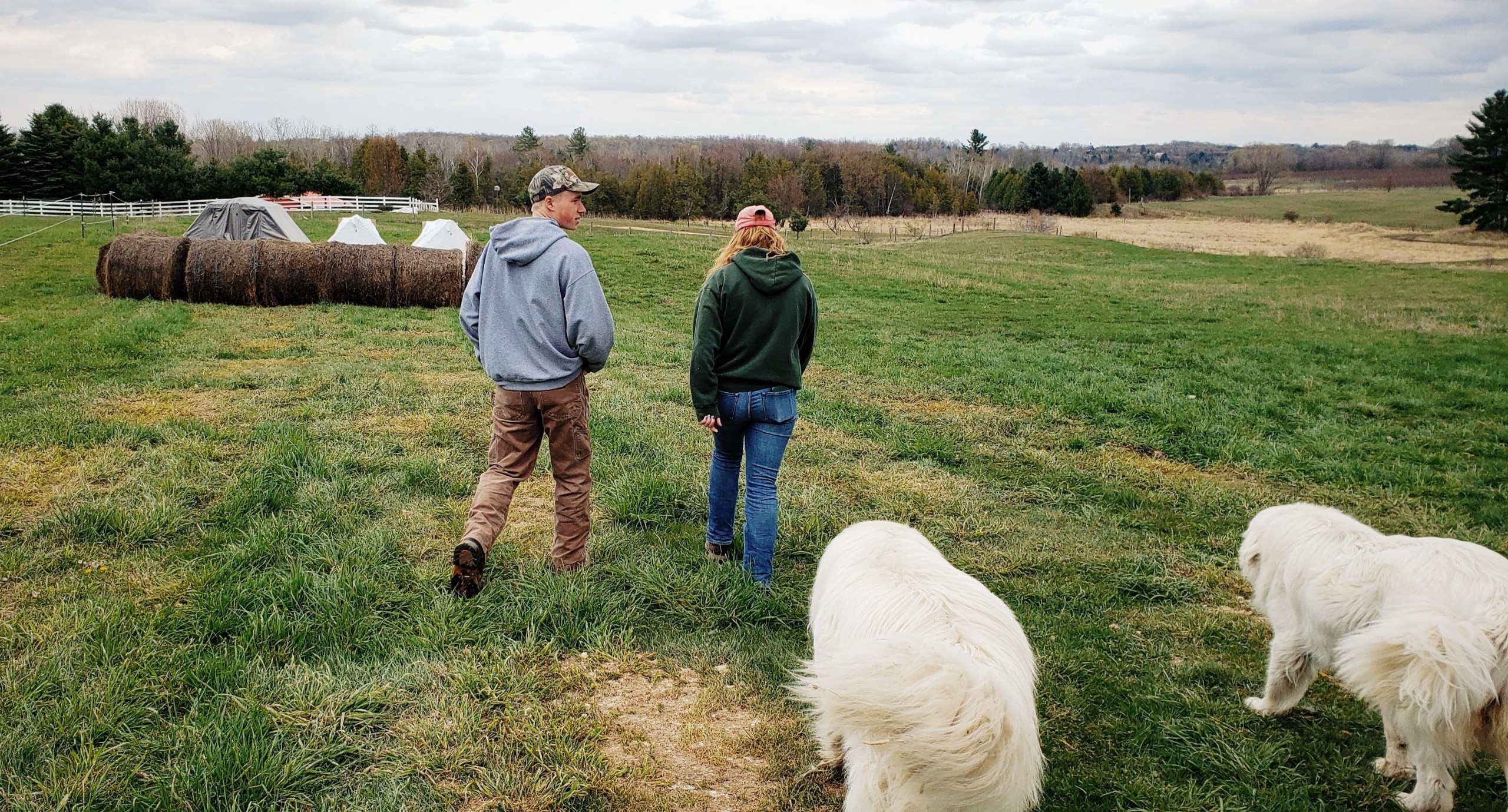 GTPulse: Young, First-Generation Farmer Thrives Throughout The Pandemic ...