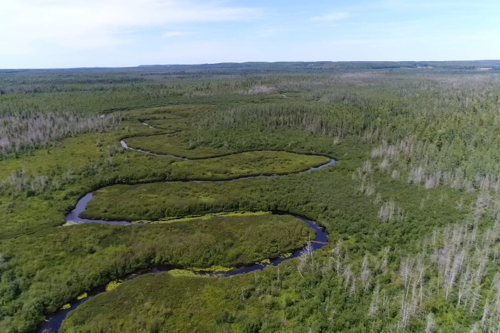 Northern Michigan from Above: Maple River – 9&10 News