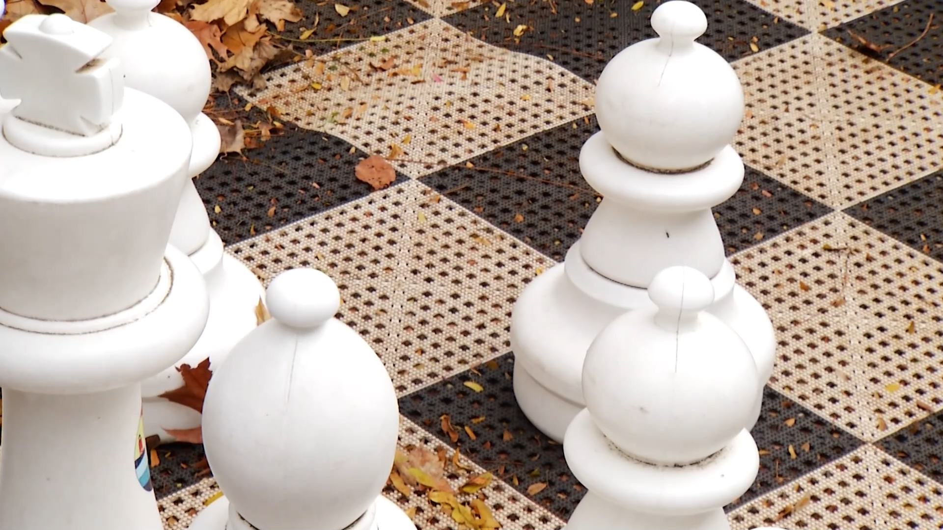 Petoskey district library hosts Petoskey Fall Chess Classic – 9&10 News