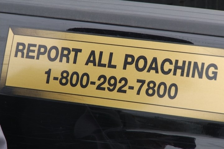 Hook and Hunting: You Can Now Text Into DNR To Report Poaching – 9&10 News