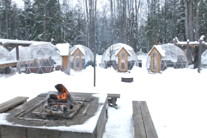 Brewvine: Hop Lot – 9&10 News