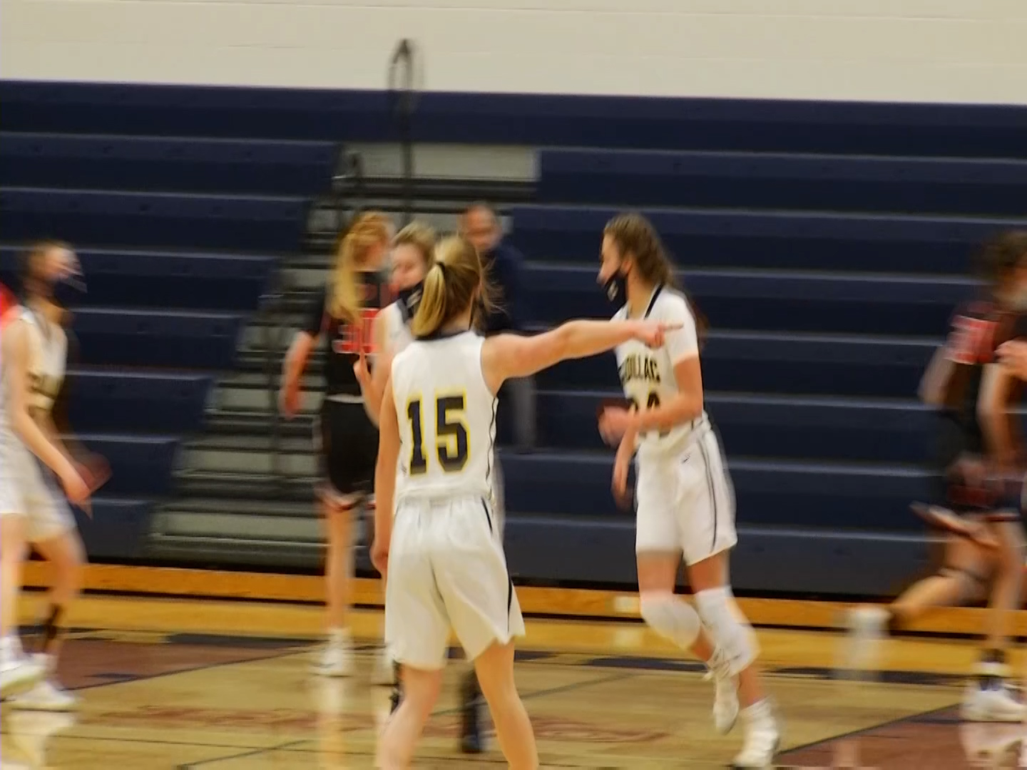 Senate Committee Takes Up High School Transgender Athlete Ban Bill – 9 ...