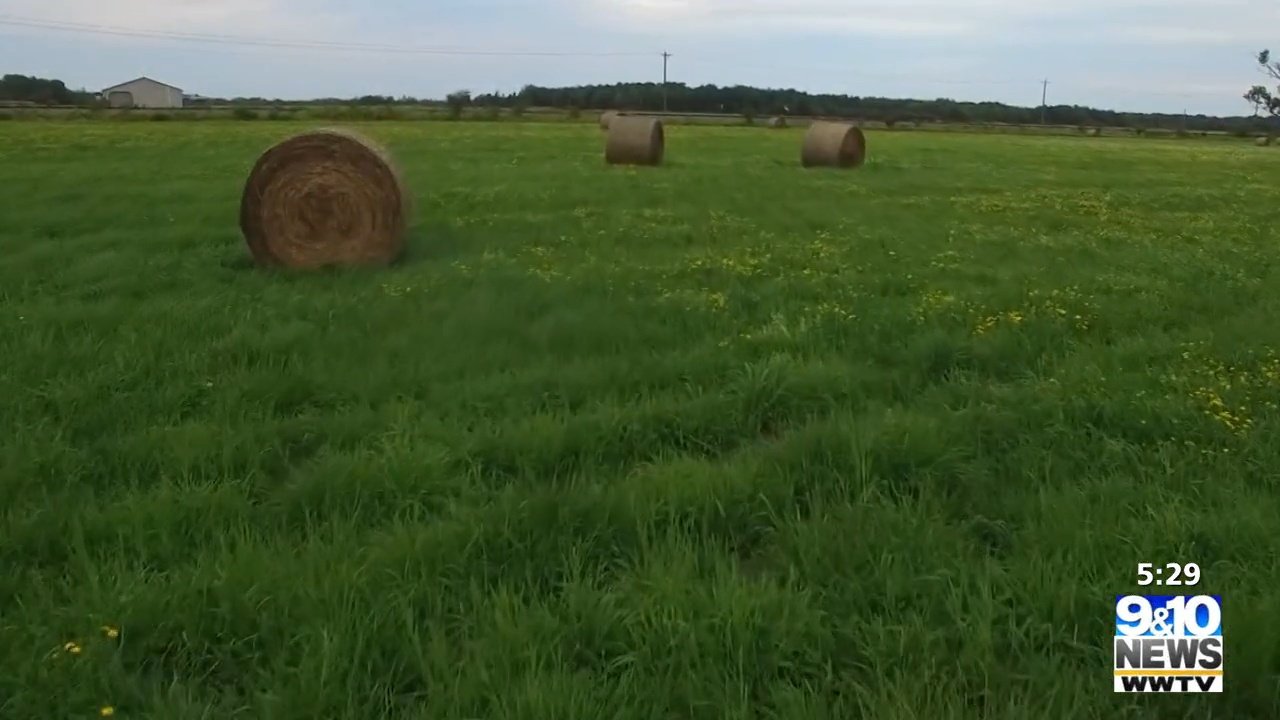Northern Michigan From Above: Fields Filled With Hay Bales in Chippewa ...
