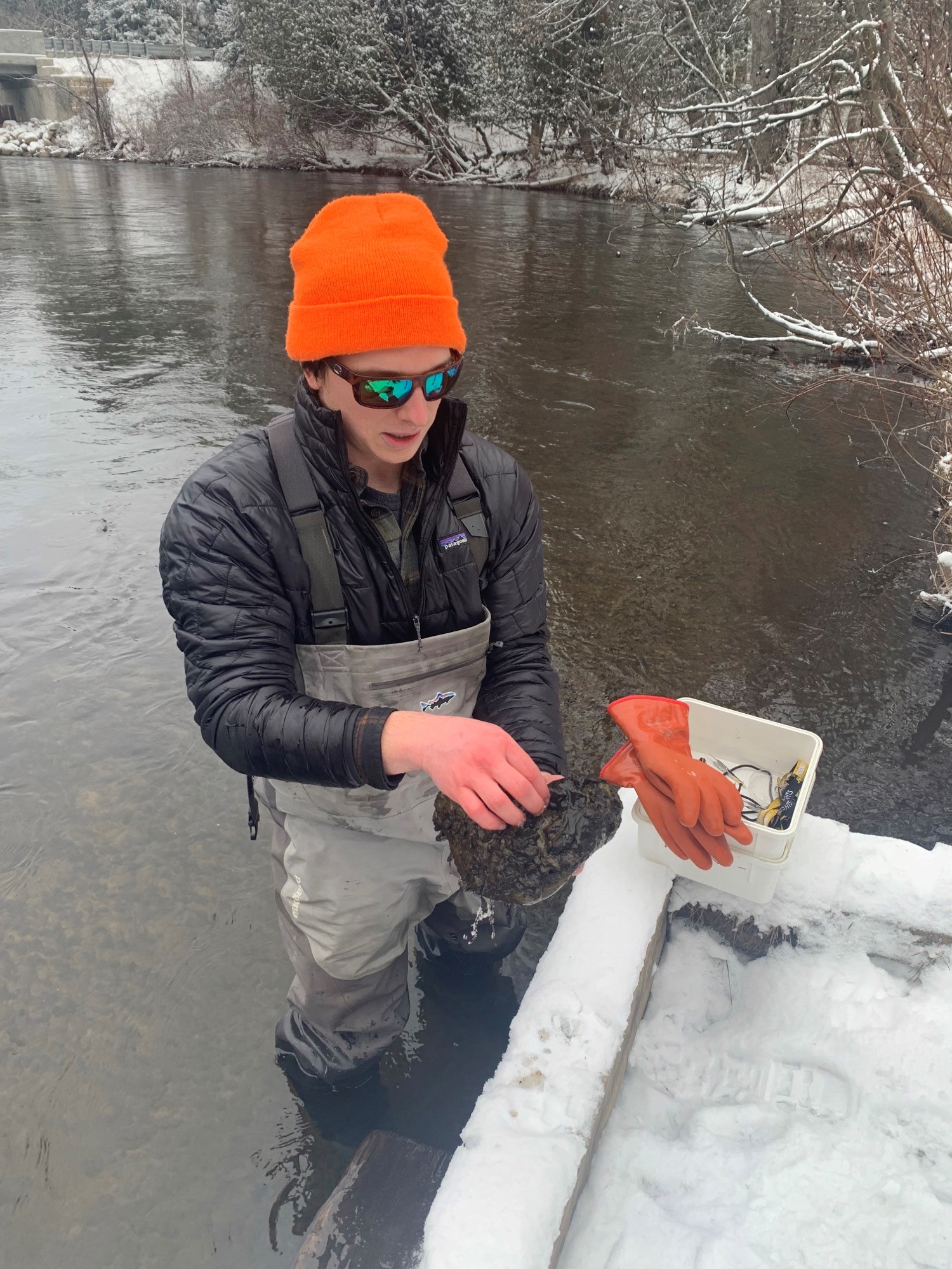 Invasive ‘Rock Snot’ Found In Upper Manistee River – 9&10 News