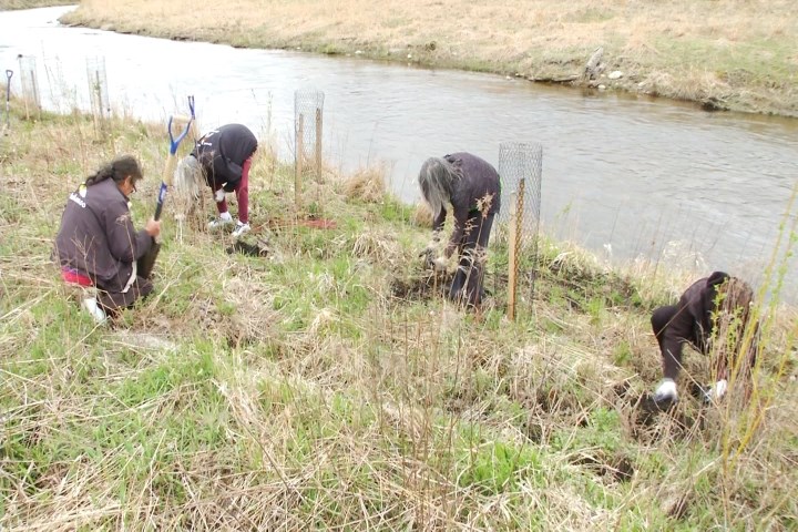Northern Michigan in Focus: Brown Bridge Tree Planting – 910News.com