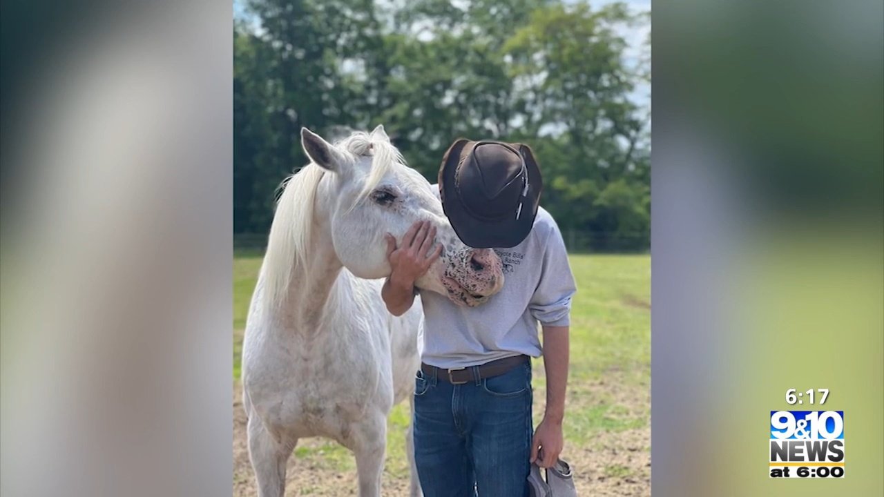 After 13 Years a Man and His Horse Are Reunited at Harbor Springs Ranch ...