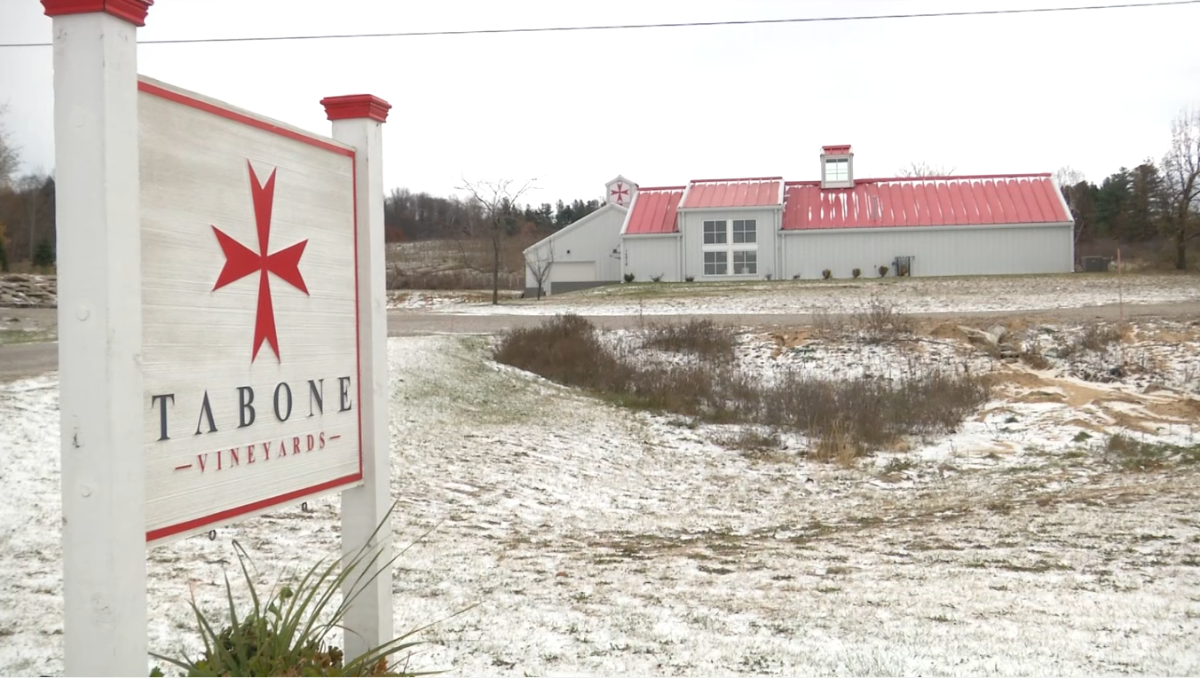 BrewVine: Tabone Vineyards – 9&10 News
