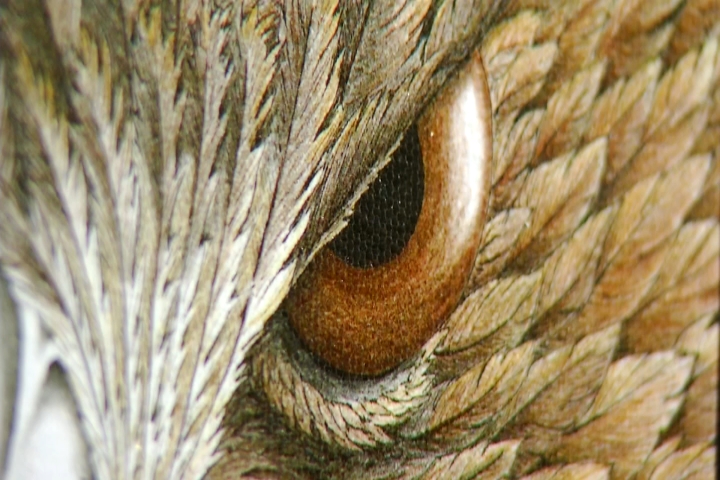 Artist Profile: Marie Rust – 9&10 News