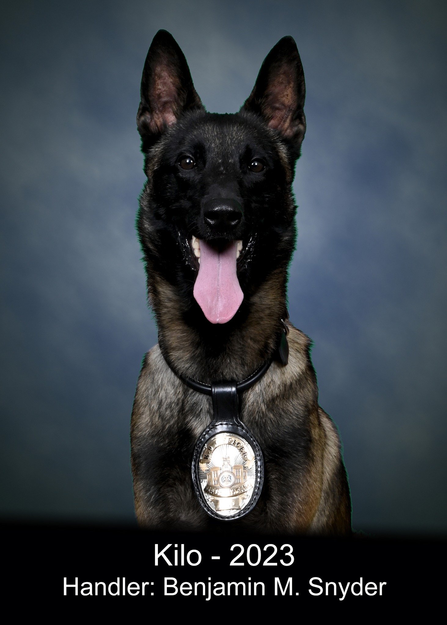 Traverse City Police Department introduces new K9 Officer Kilo – 9&10 News