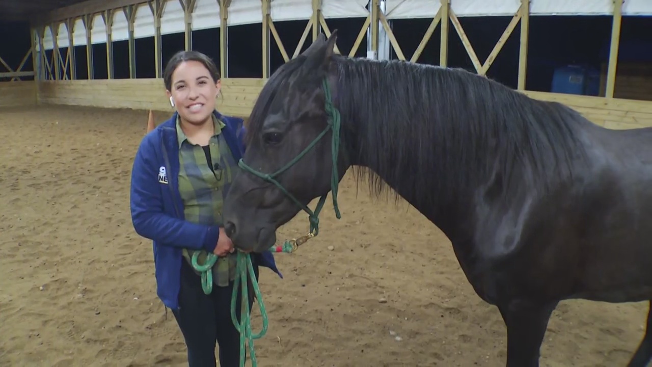 MTM On The Road: Traverse City Peace Ranch Offers Support Through ...