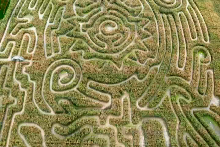 Jacob’s Corn Maze: Getting Lost in a Fun Fall Adventure – 9&10 News