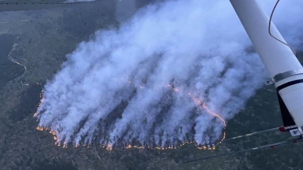Crews battle Goose Marsh wildfire in Whitefish Twp. in the Upper ...