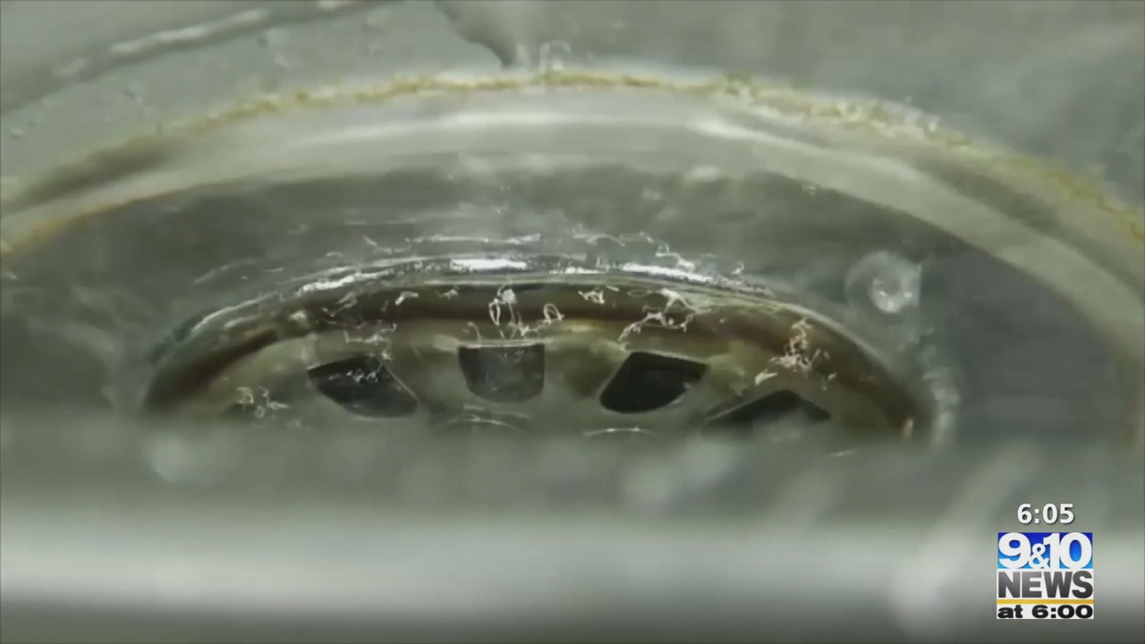 Gov. Whitmer Signs Directive to Improve Michigan’s Drinking Water ...