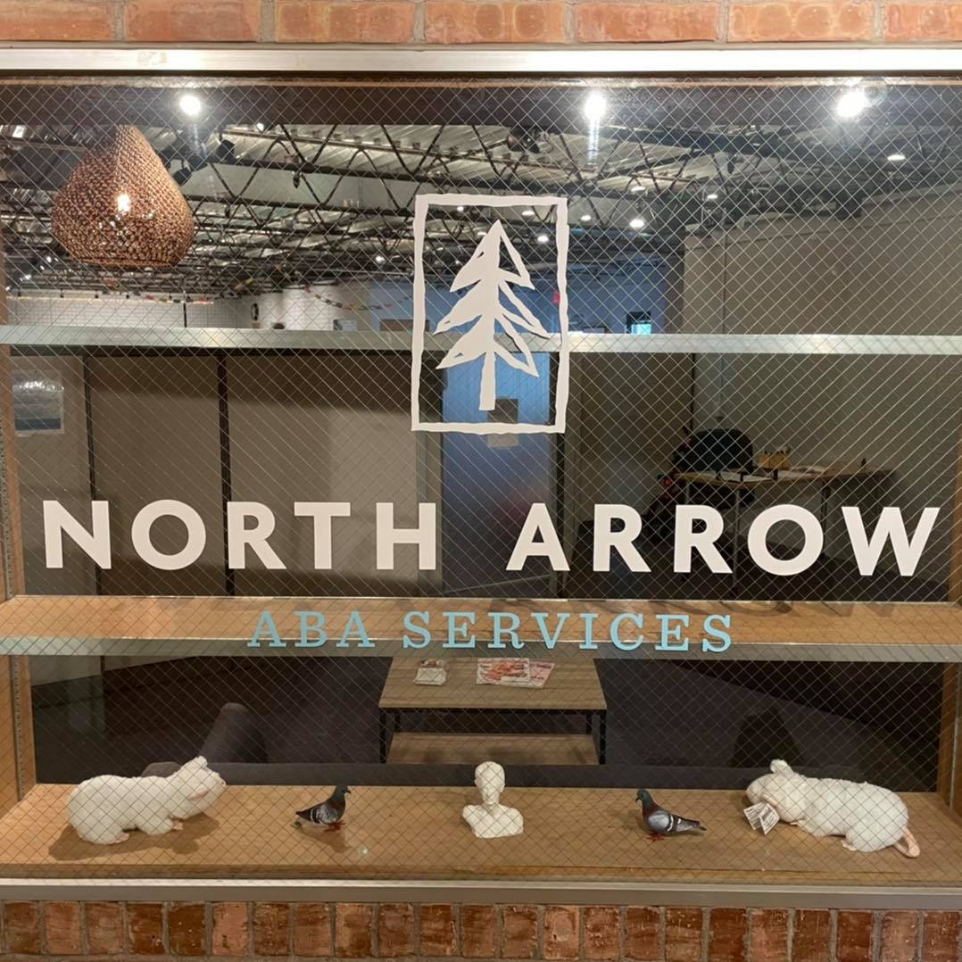 Recognizing World Autism Day with North Arrow ABA Services – 9&10 News