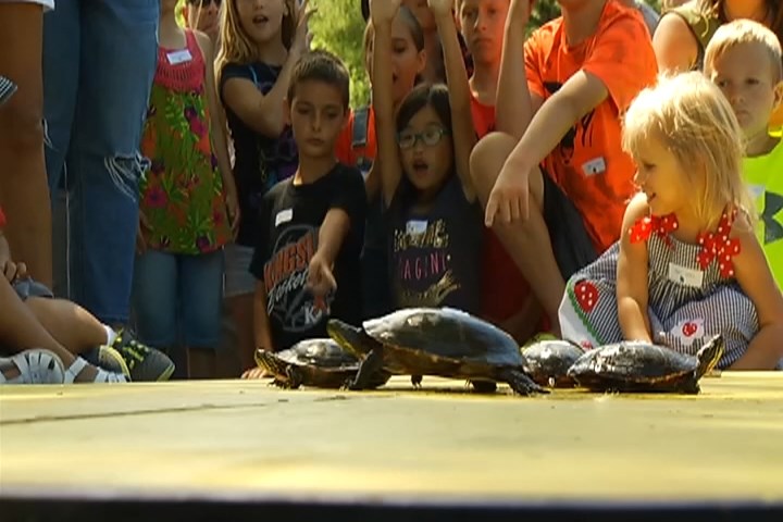 Kids and Turtles Race Cherry Festival Style – 9&10 News