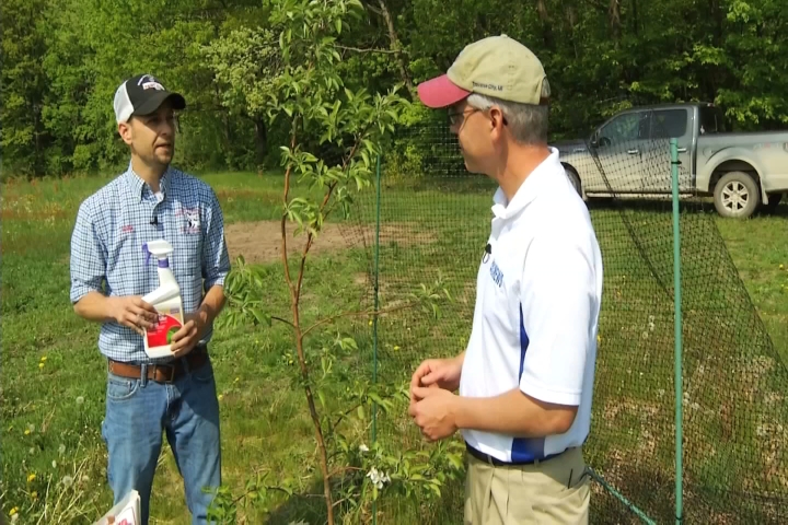 What’s Growing With Tom: Trees and Shrubs – 9and10News.com