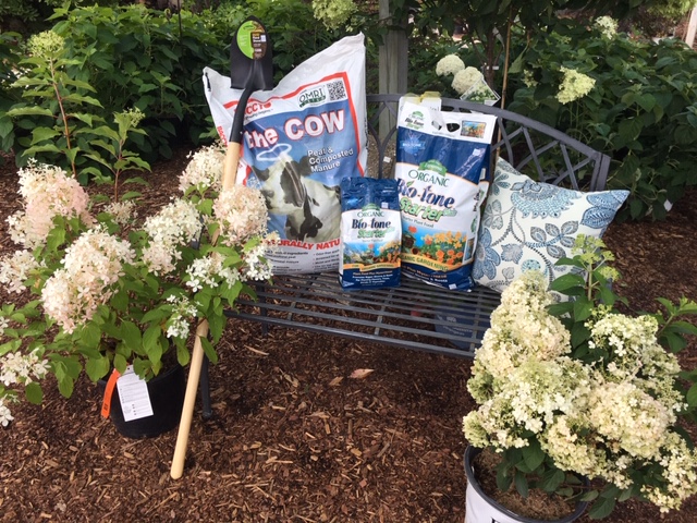 Tips and Tricks for Planting Trees, Shrubs and Perennials Beyond Summer ...