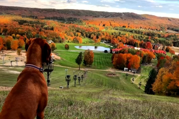 What’s Happening in Northern Michigan: Fall Color Tours – 9and10News.com