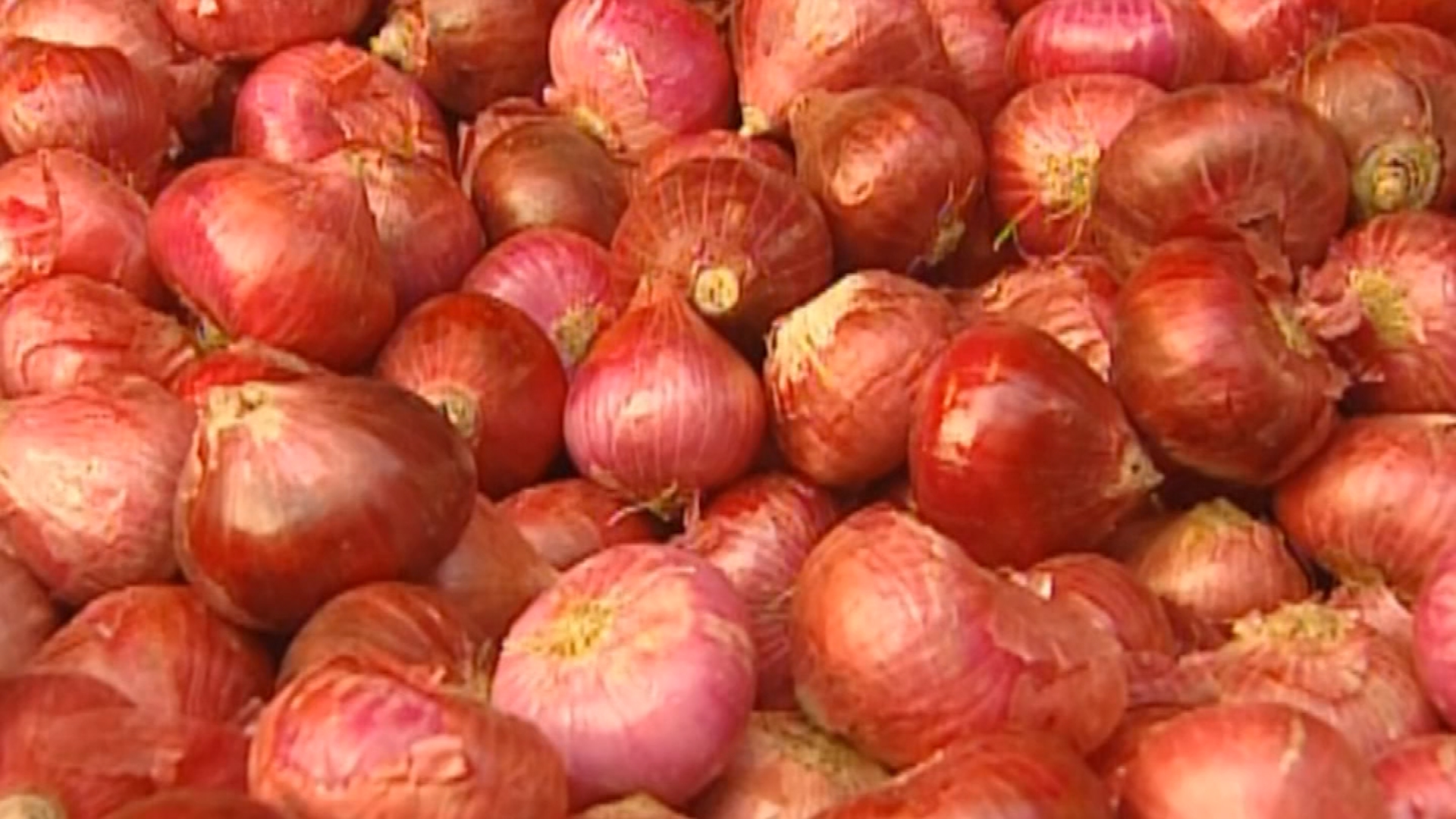 CDC: Salmonella Outbreak Linked to Onions – 9&10 News