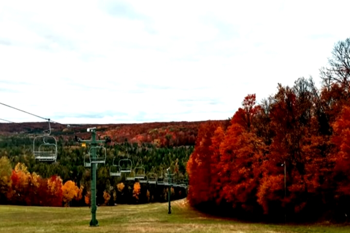 Treetops Thursday: Fall Specials – 9&10 News