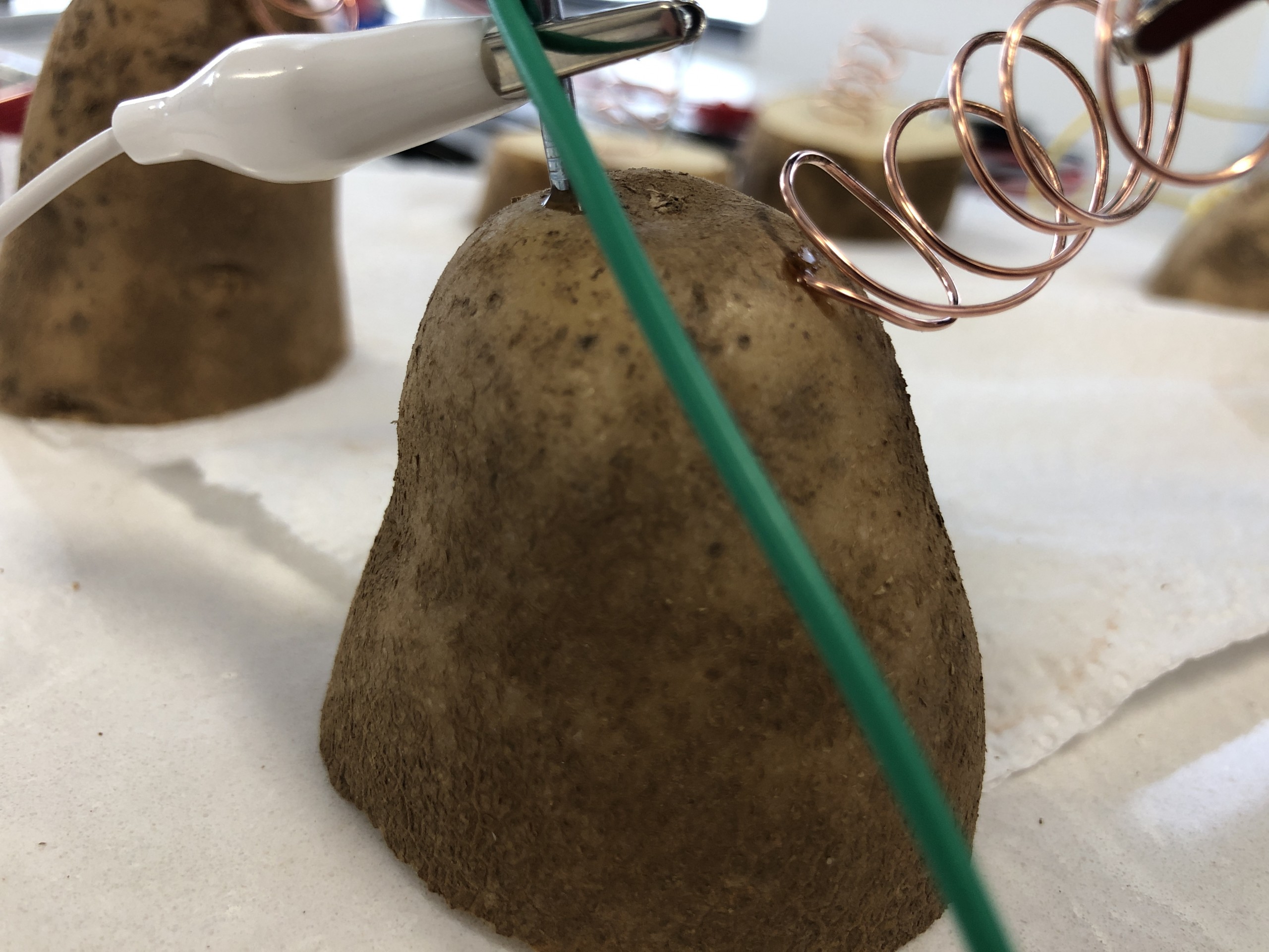 Doppler 9&10 STEM: Potato Power – 9&10 News