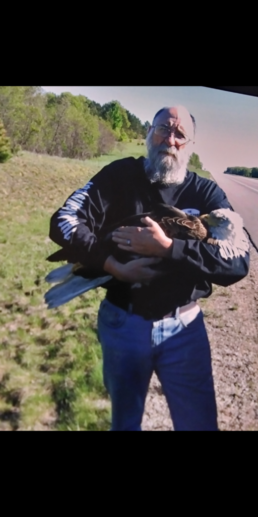 Cadillac Couple Tells Their Incredible Tale of Saving Bald Eagle Hit by ...
