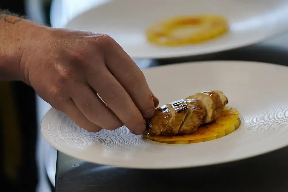 US approves chicken meat made from cells grown in vats – 9and10News.com
