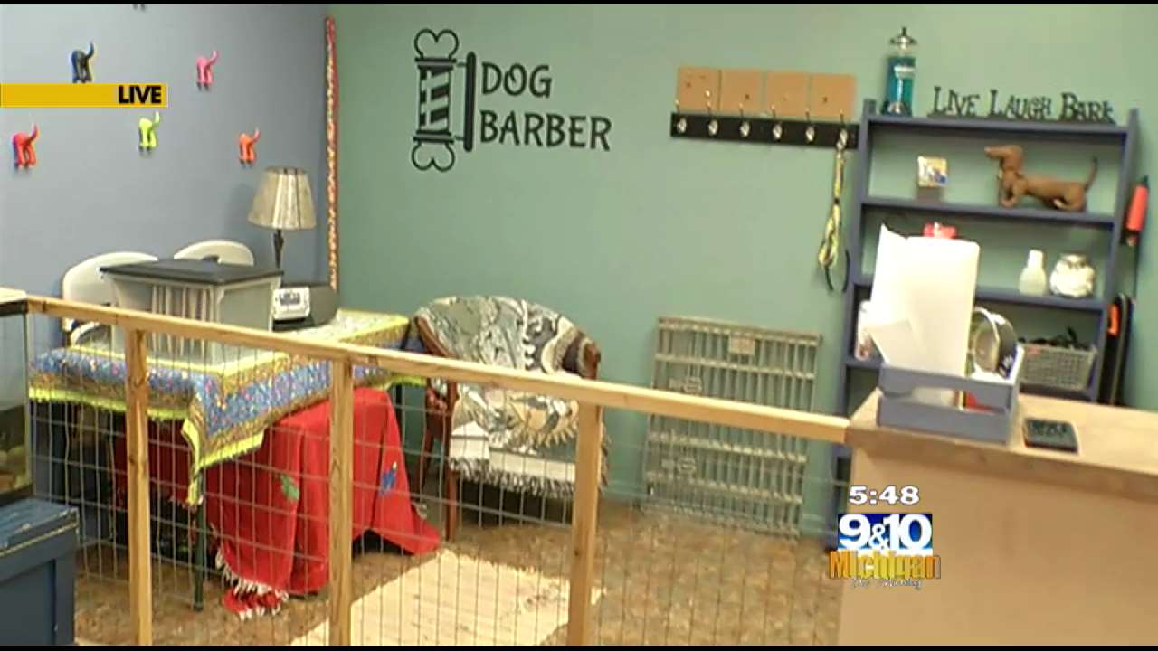 MTM On The Road: The Happy Dog Paw Brings in Wagging Tails – 9&10 News