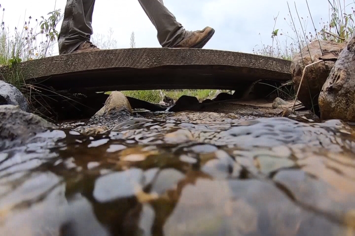 Grand Traverse Conservation District offers habitat restoration ...