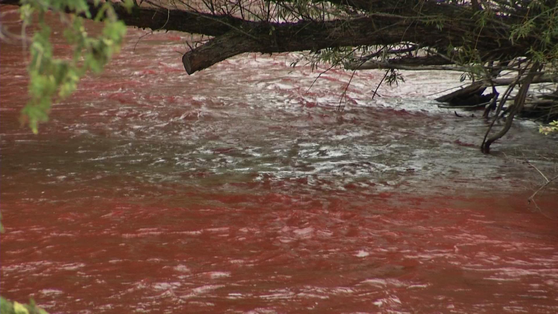 Cheboygan County River Turns Red, Preparing for Treatment of Sea ...