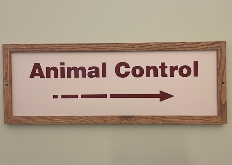 Grand Traverse County Voters Will See Animal Control Millage on ...