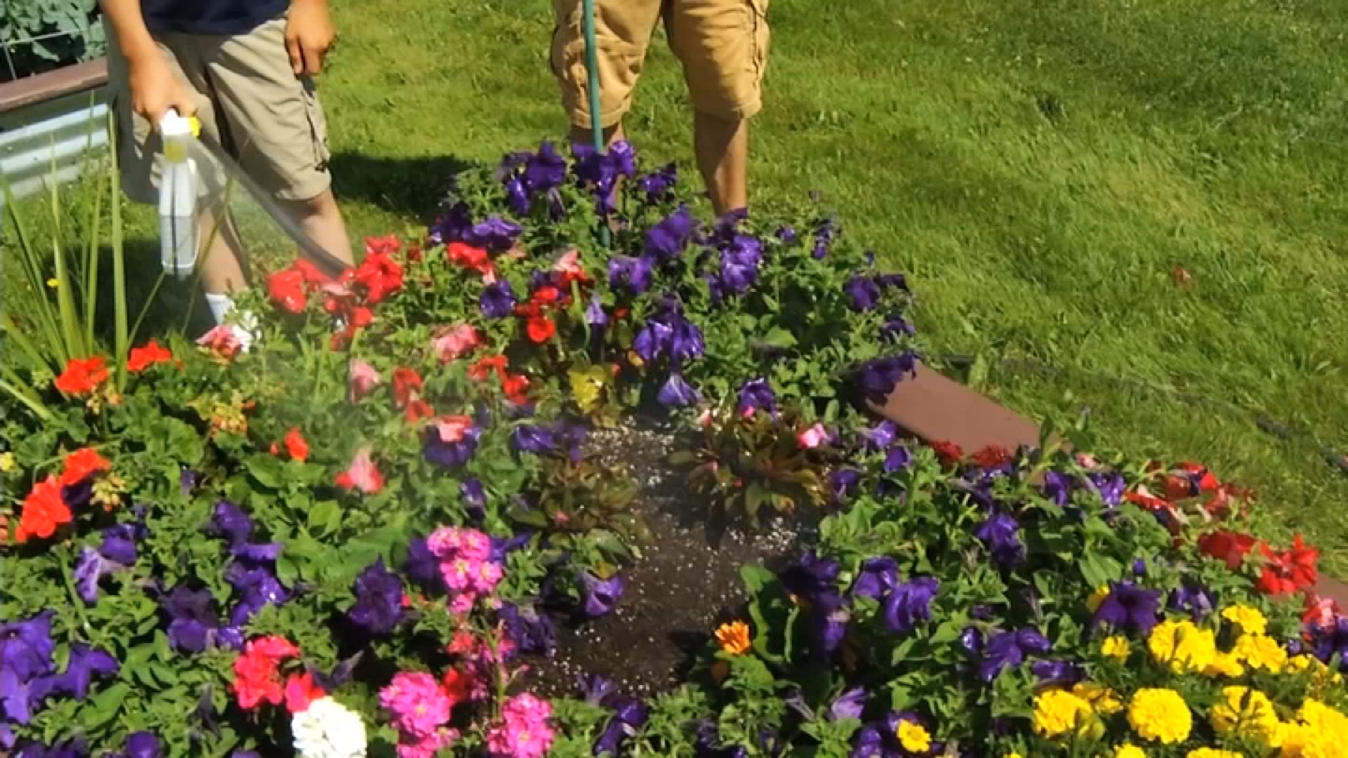 What’s Growing With Tom: Flower Bed Update – 9&10 News