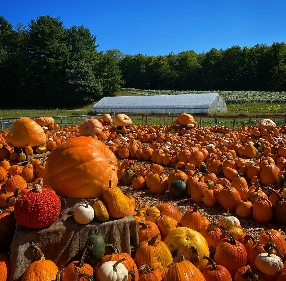 Your MEGA guide to Northern Michigan 2024 fall events – 9&10 News