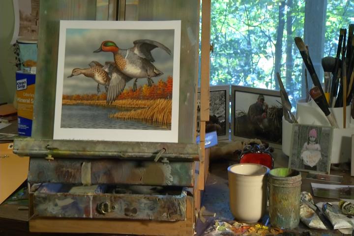 Suttons Bay Artist Wins Michigan State Duck Stamp Contest – 9and10News.com