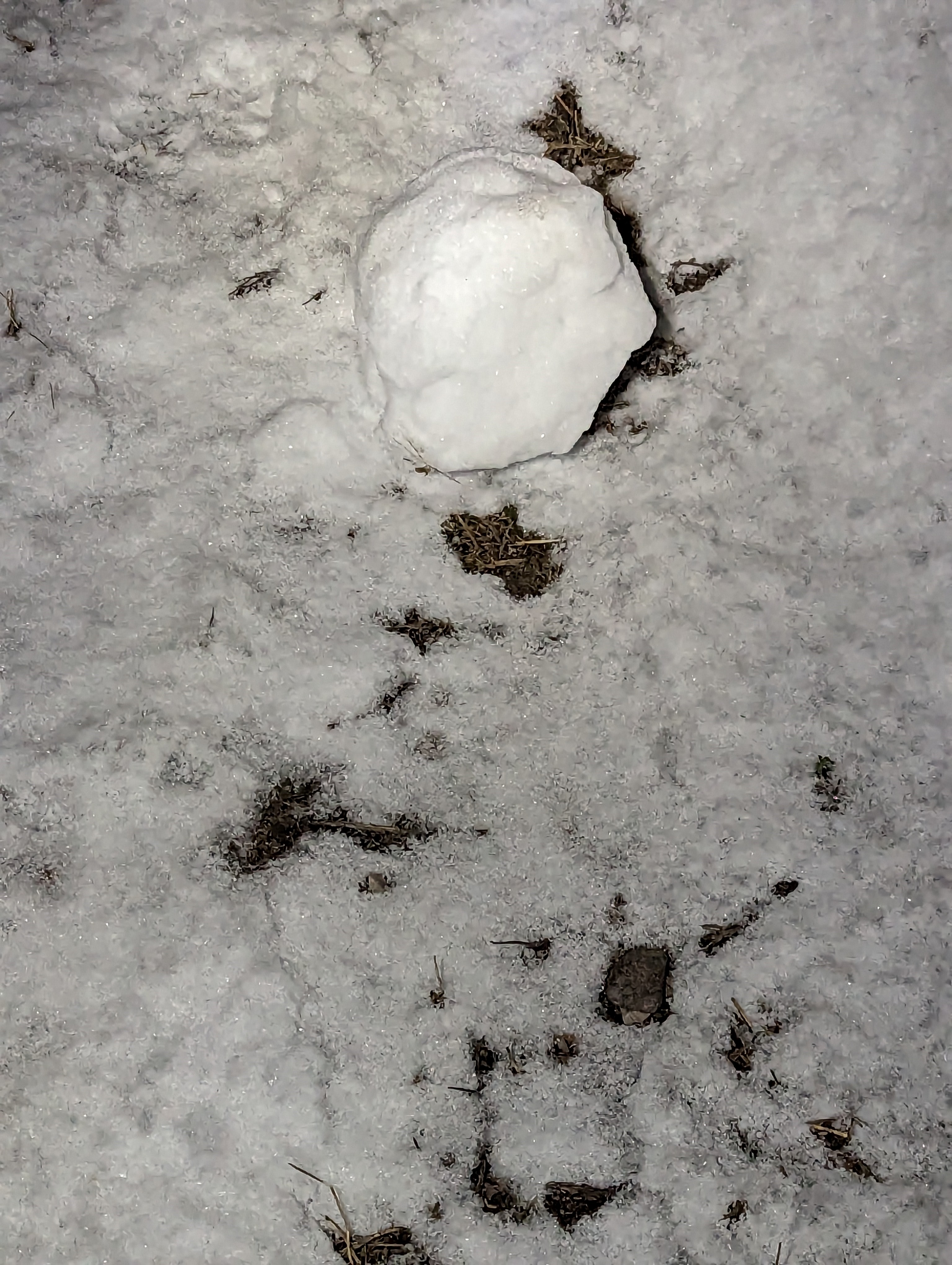 Mysterious Snow Balls Appear Near Cheboygan – 9&10 News