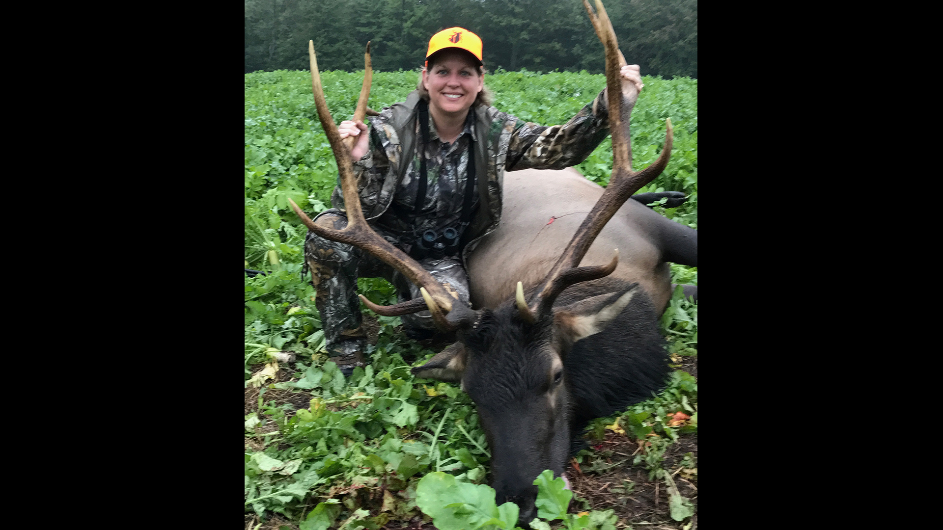 Pure Michigan Hunt Winners Bag Elk, Black Bear – 9&10 News